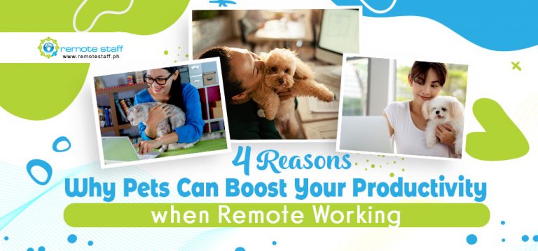 4 Reasons Why Pets Can Boost Your Productivity when Remote Working ...