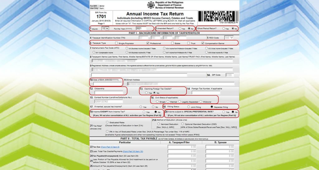 How to File Your Taxes for Mixed Income Earners as a Remote Worker or ...