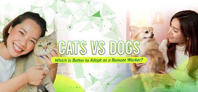 Cats vs Dogs: Which is a Better WFH Pet? - Remote Staff