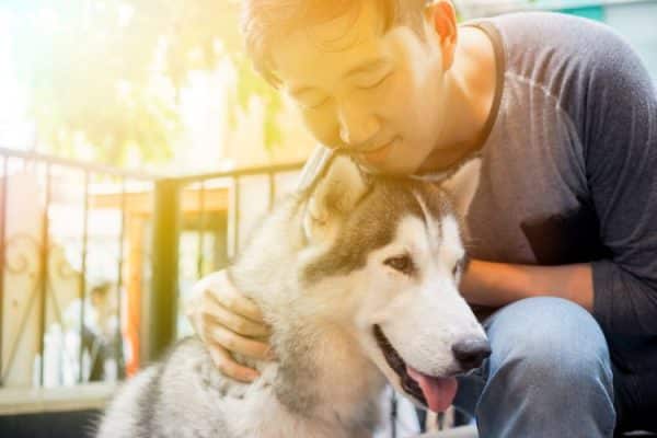 A Remote Worker's Guide to Becoming a Pet Parent - Remote Staff