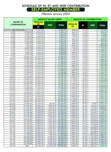 The Remote Worker’s Complete Guide to Voluntary SSS, PhilHealth, and ...